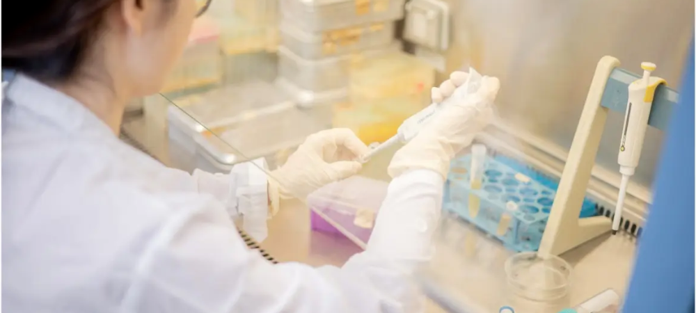 Nicotine Chew Packets - AMIGO INDUSTRIAL PTE. LTD.